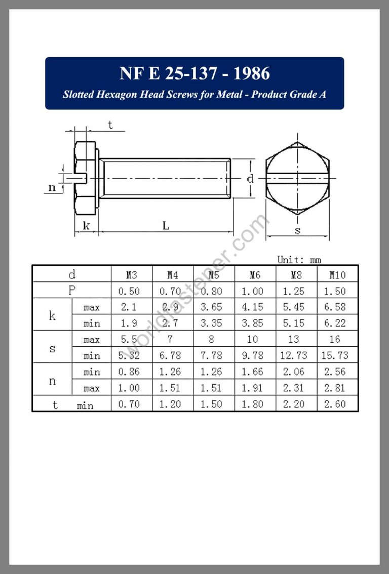 NF E25-137 Slotted Hexagon Head Screws | Fasteners, Bolt, Nut, Screw