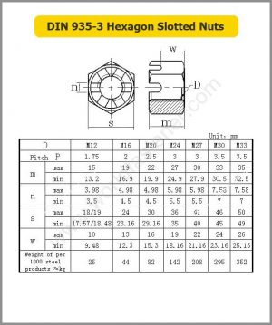 DIN 935-3 Hexagon Slotted Nuts | Fasteners, Bolt, Nut, Screw
